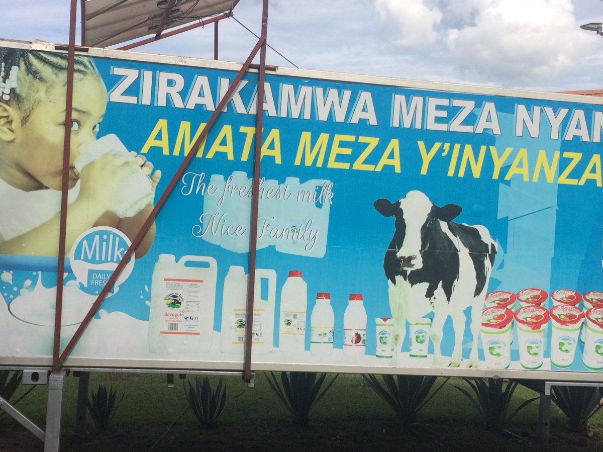 April & Yogurt – Ruminations from Rwanda