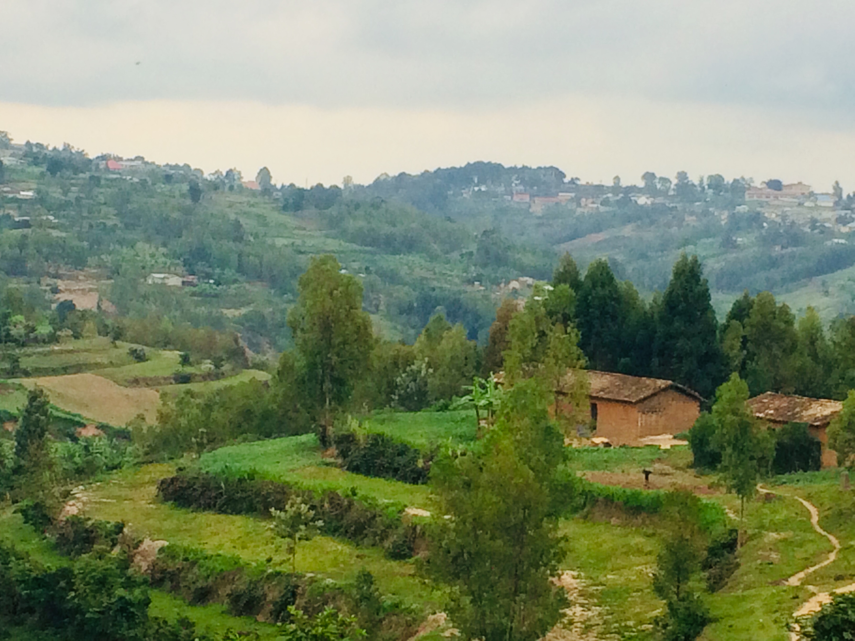TERRACING IN RWANDA – Ruminations from Rwanda